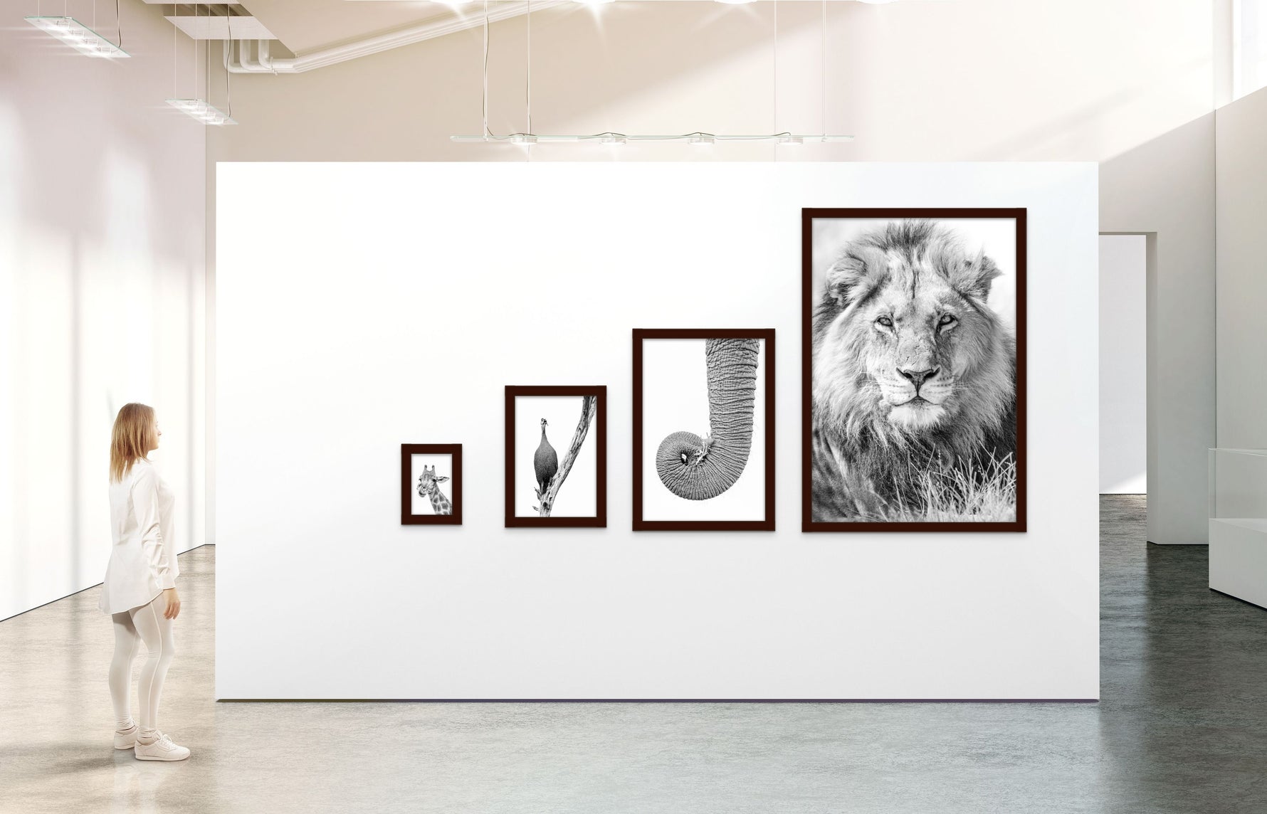 Print Sizing Guide | WILD AFRICA COLLECTION – Devon Jenkin Photography